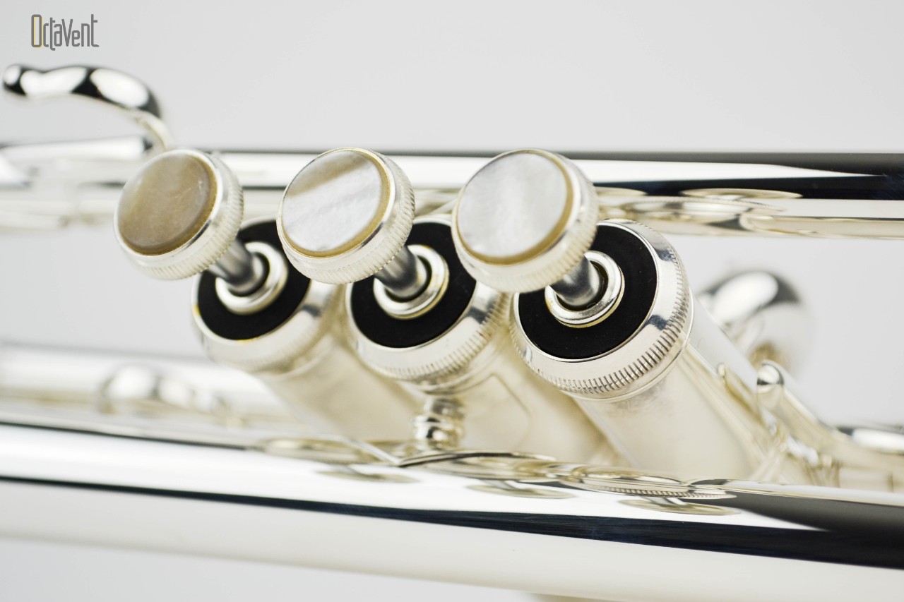 Instruments neufs adaptés à tous les niveaux - Octavent