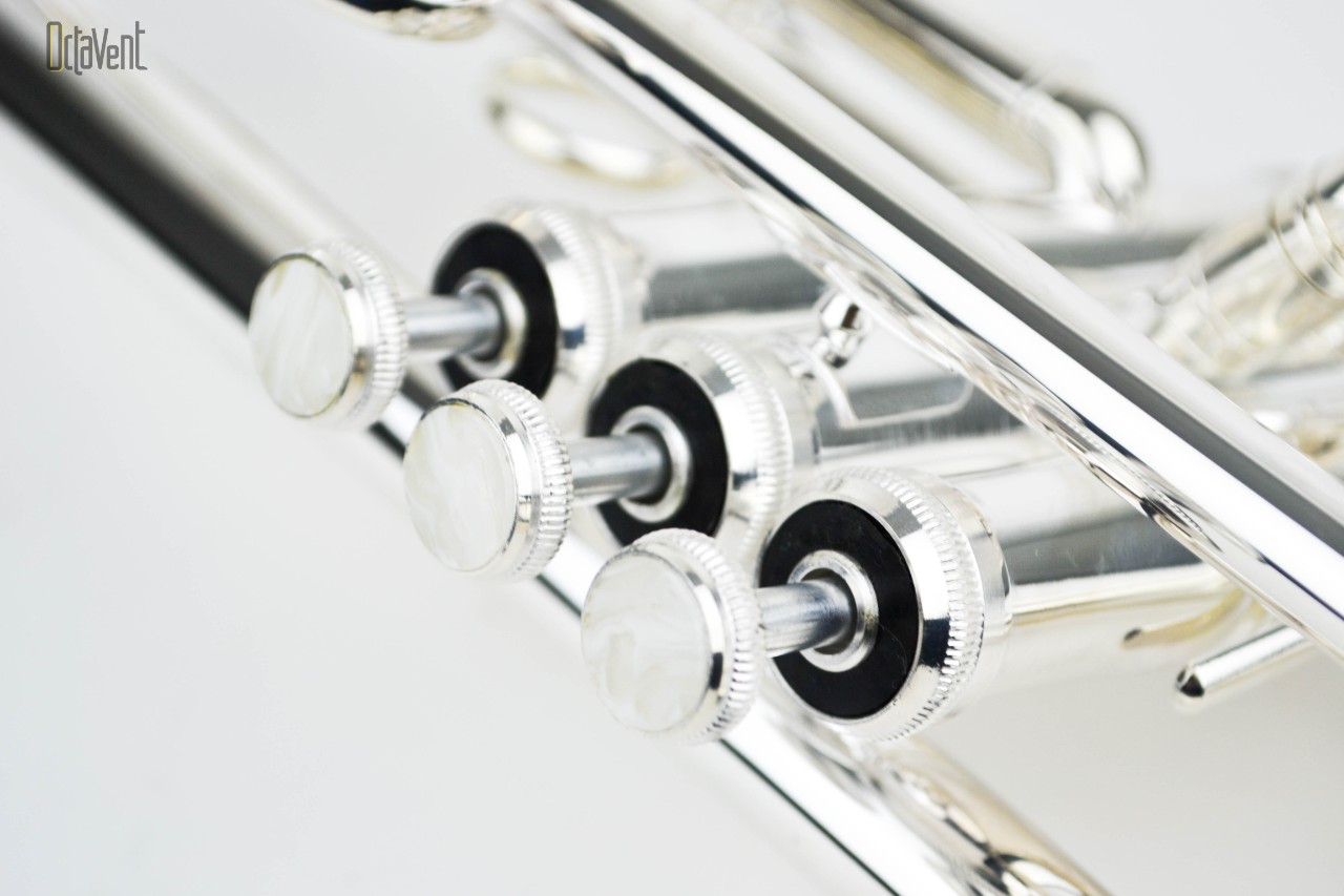 Instruments neufs adaptés à tous les niveaux - Octavent